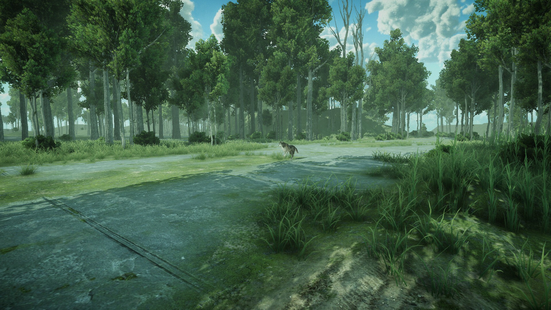 Forest Spring Screenshots · SteamDB