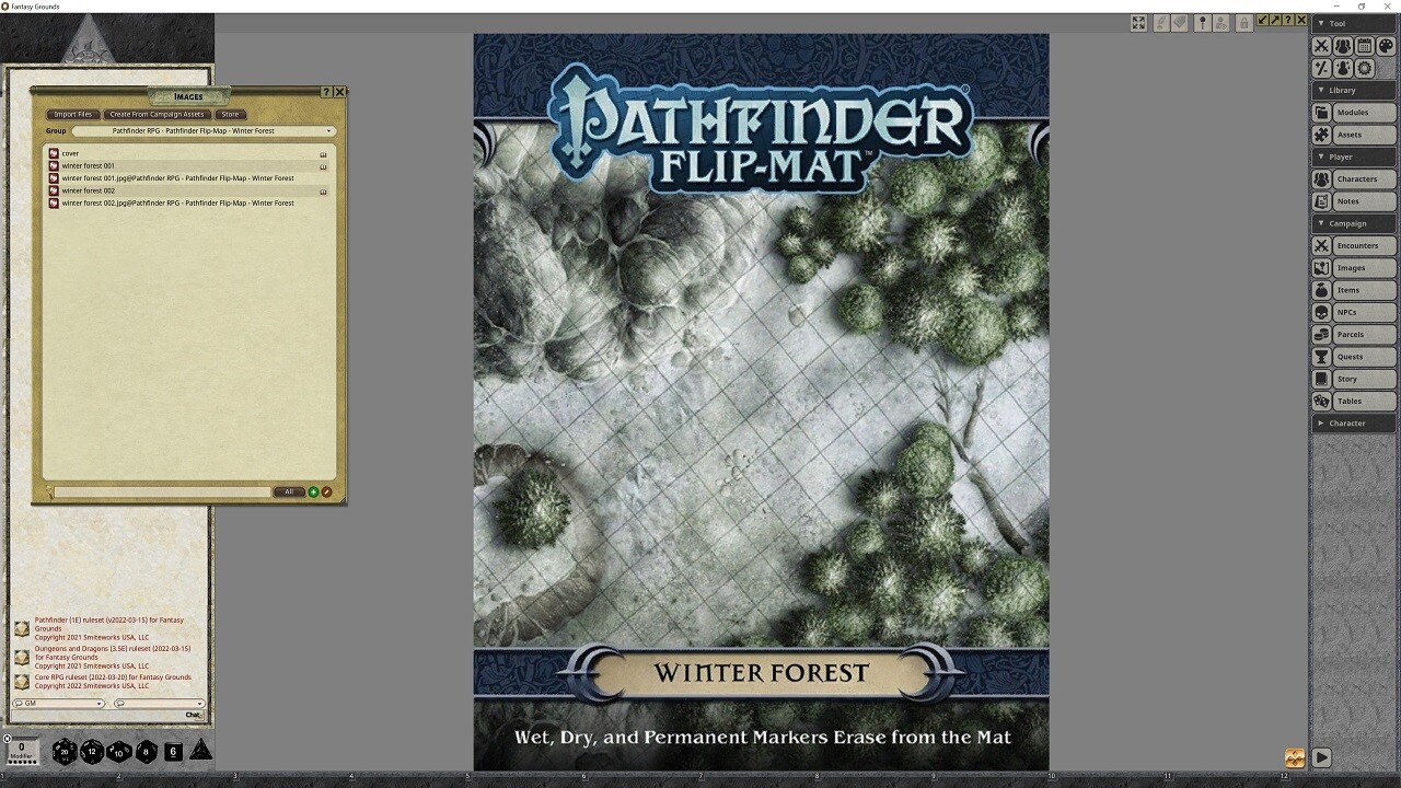 Fantasy Grounds - Pathfinder RPG - Pathfinder Flip-Mat - Winter Forest on Steam
