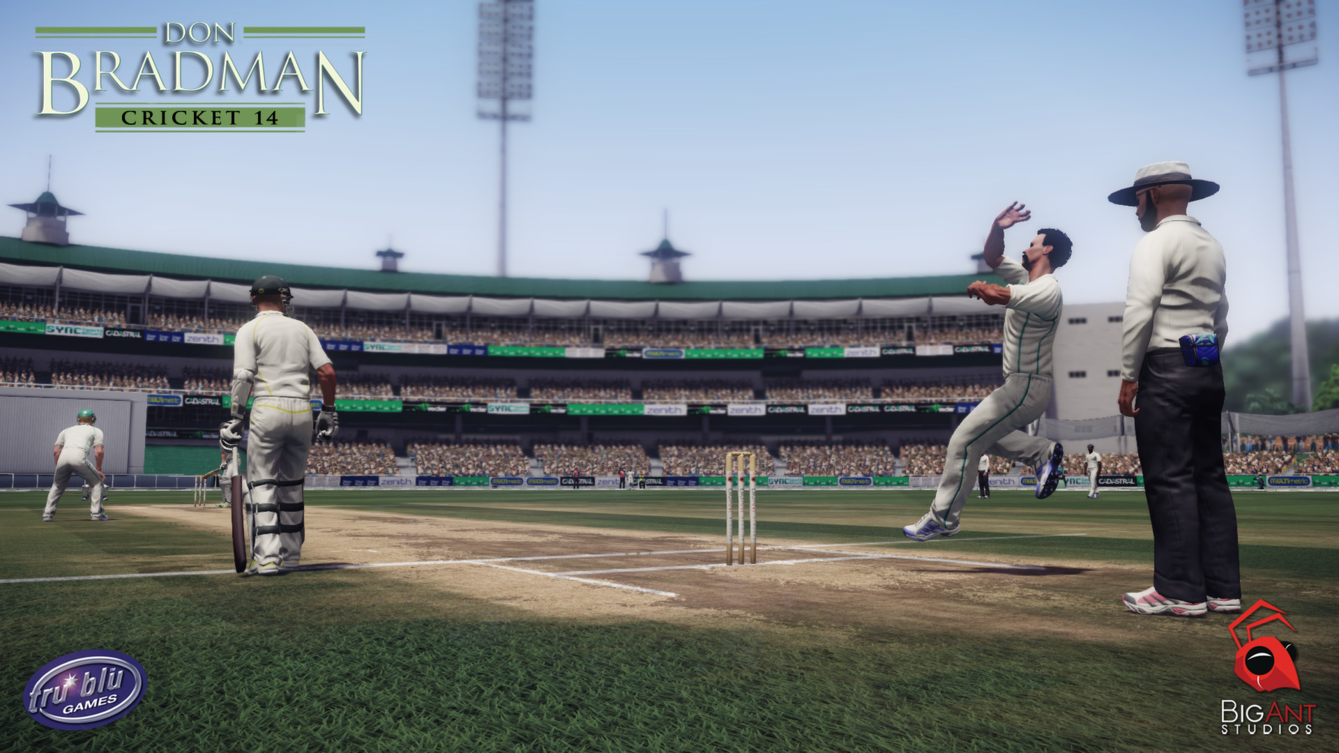 Don Bradman Cricket 14 on Steam