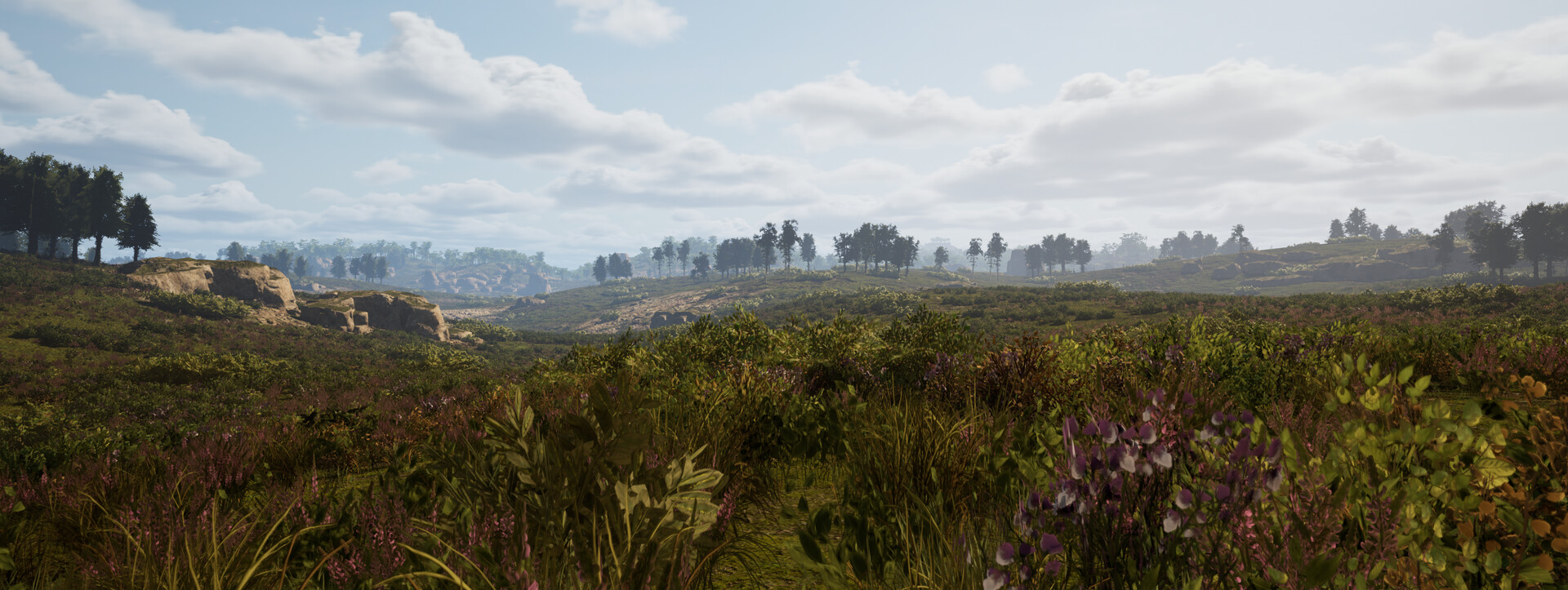 The Wings of Dawn on Steam