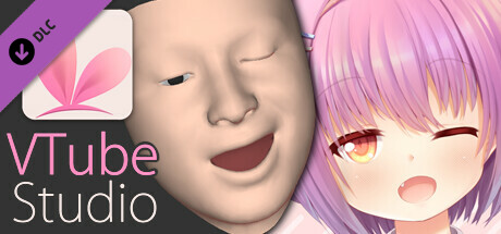 VTube Studio - NVIDIA Broadcast Tracker on Steam