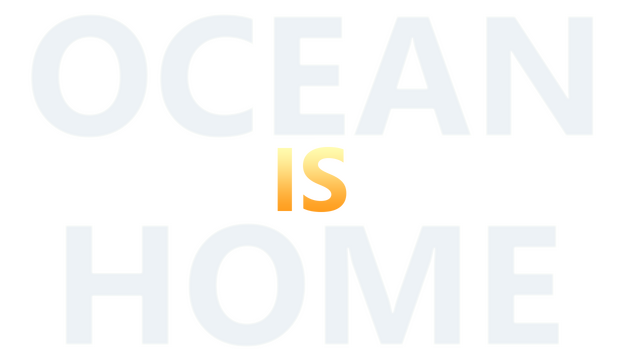 Ocean Is Home : Island Life Simulator Steam Charts · SteamDB