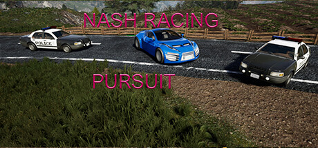 Steam Community :: Nash Racing: Pursuit