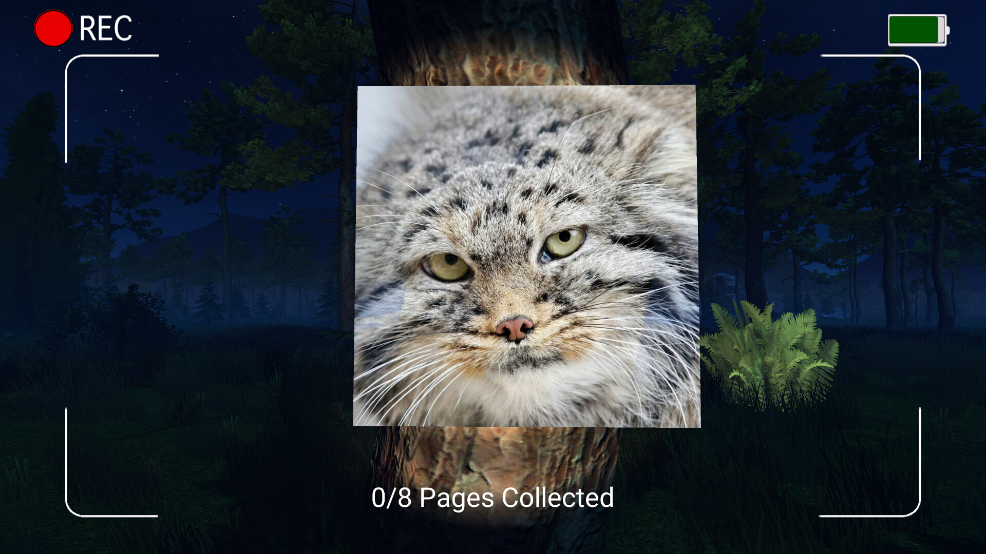 Save 51% on DARK NIGHT WITH FLOPPA on Steam