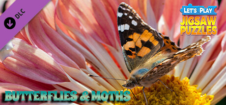 Let's Play Jigsaw Puzzles: Butterflies & Moths Price history · SteamDB
