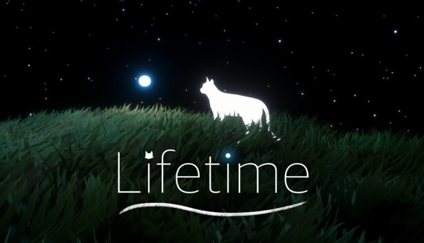 Lifetime on Steam