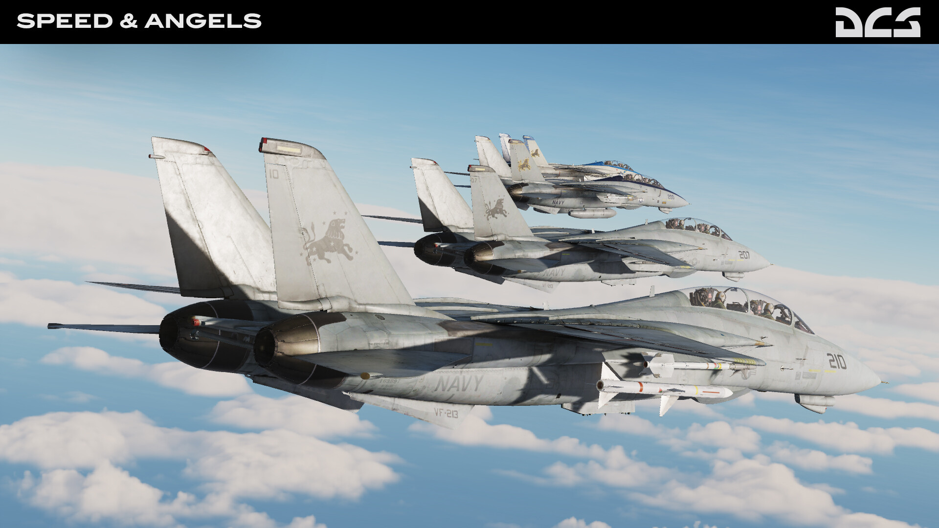 DCS: F-14 Speed & Angels Campaign by Reflected Simulations · DCS: F-14B ...
