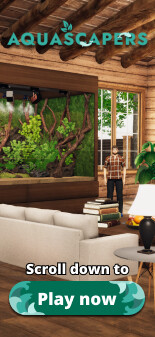 Aquascapers Steam Charts · SteamDB