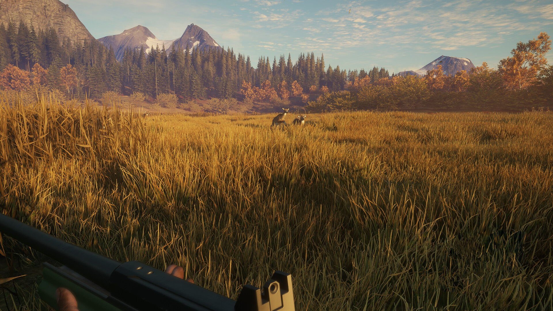 theHunter: Call of the Wild™ - Hunter Power Pack on Steam