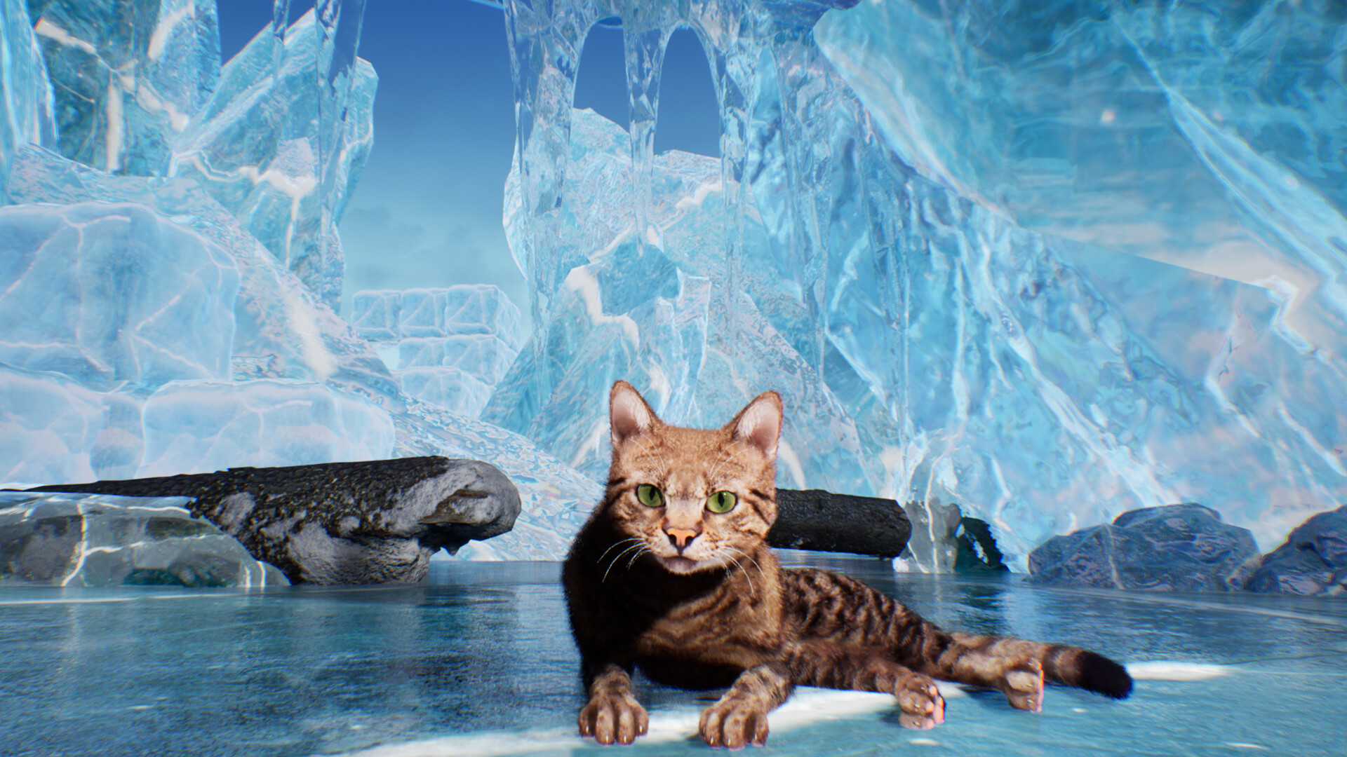 Super Cat Simulator on Steam
