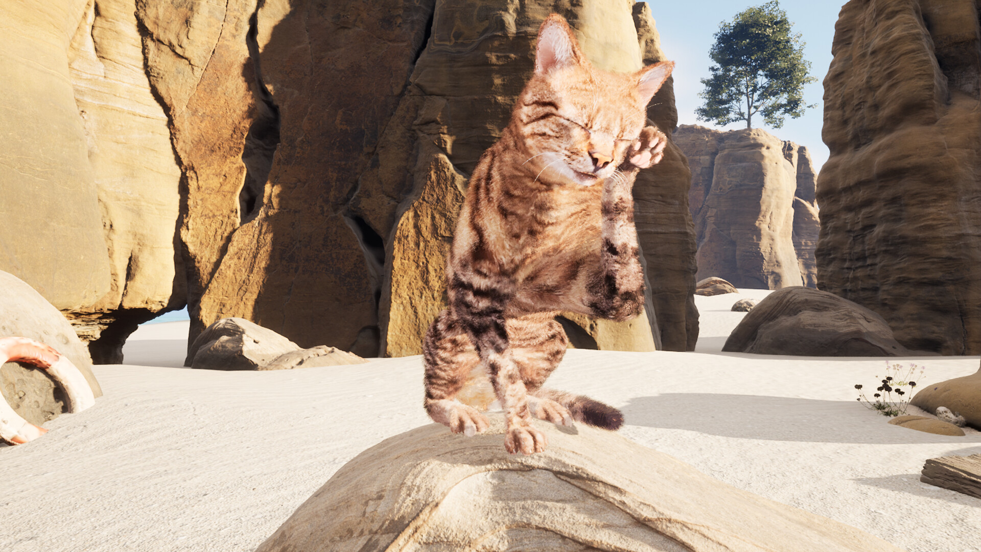 Super Cat Simulator on Steam