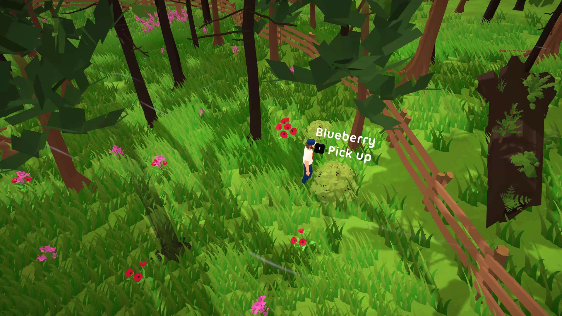 Fishing Stories on Steam