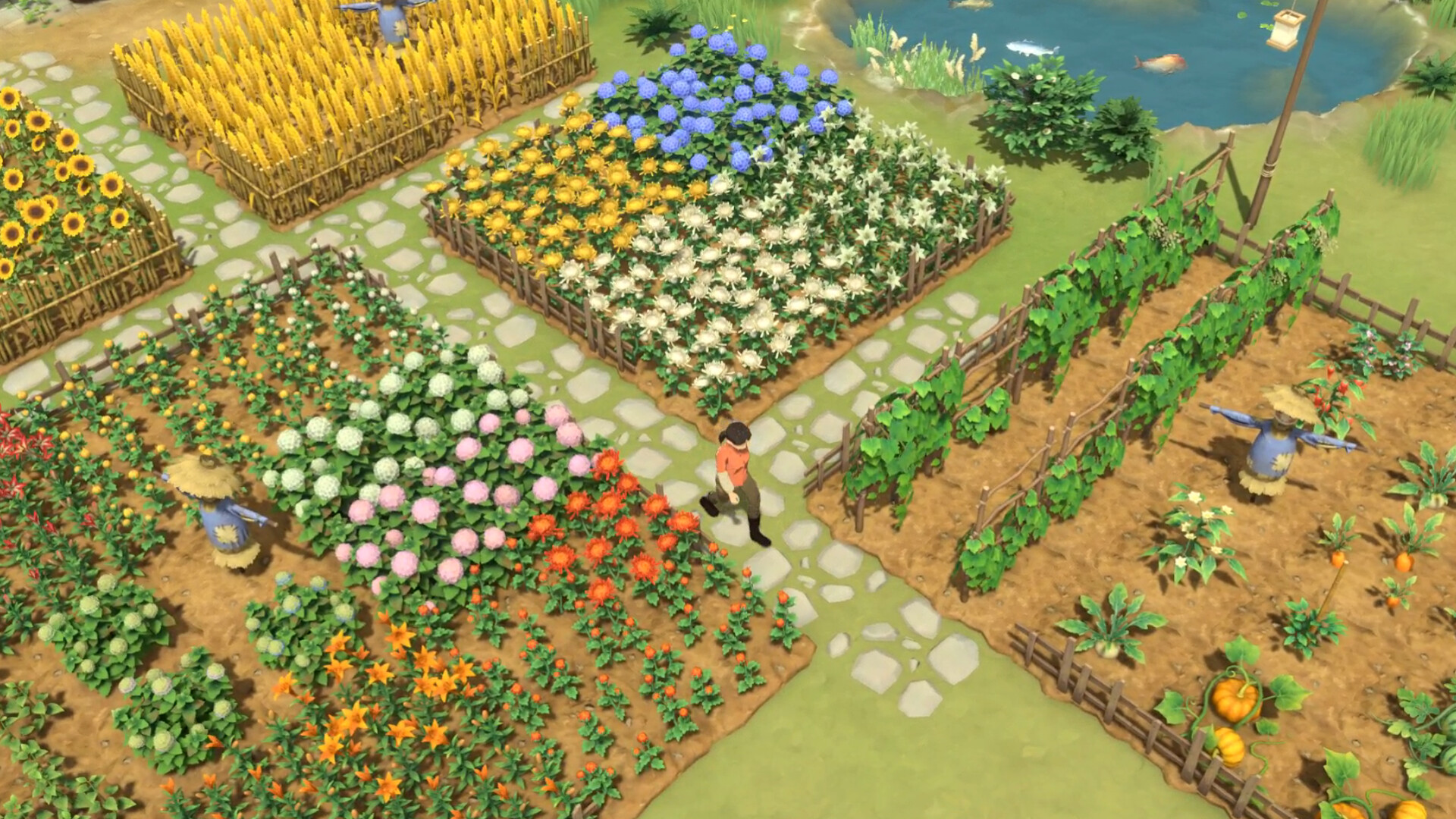 Litchi Town on Steam