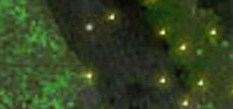 SteamDB Unknown App 2364080 Packages (App 2364080) · SteamDB