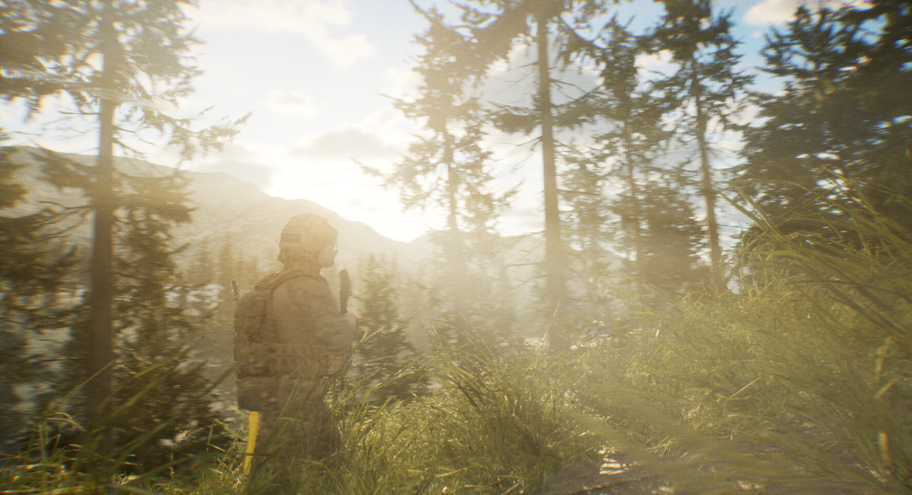 Training and War Simulation (TWS) on Steam