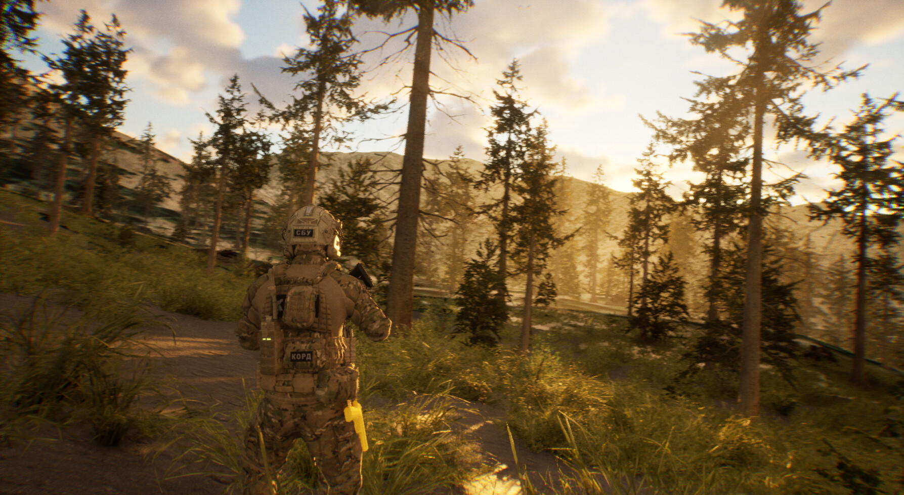 Training and War Simulation (TWS) on Steam