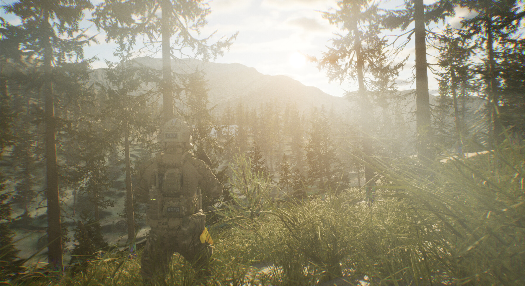 Training and War Simulation (TWS) on Steam