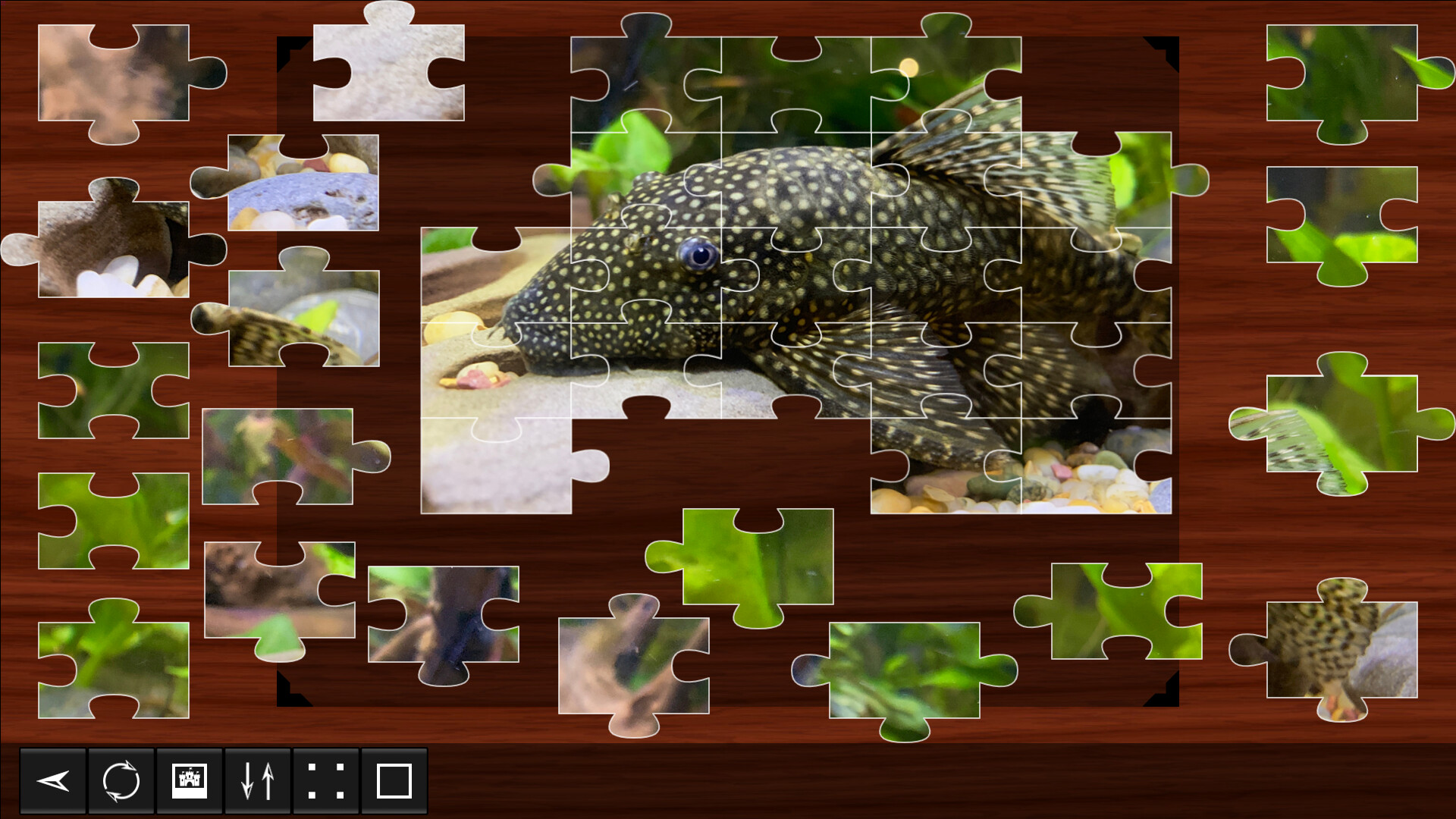 Hemat 55% untuk Jigsaw Puzzle World - Fish di Steam
