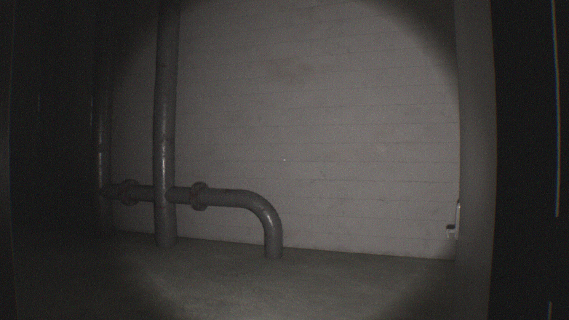 Paradise Nowhere Screenshots · SteamDB