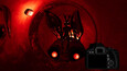 Trash Bunny House on Steam