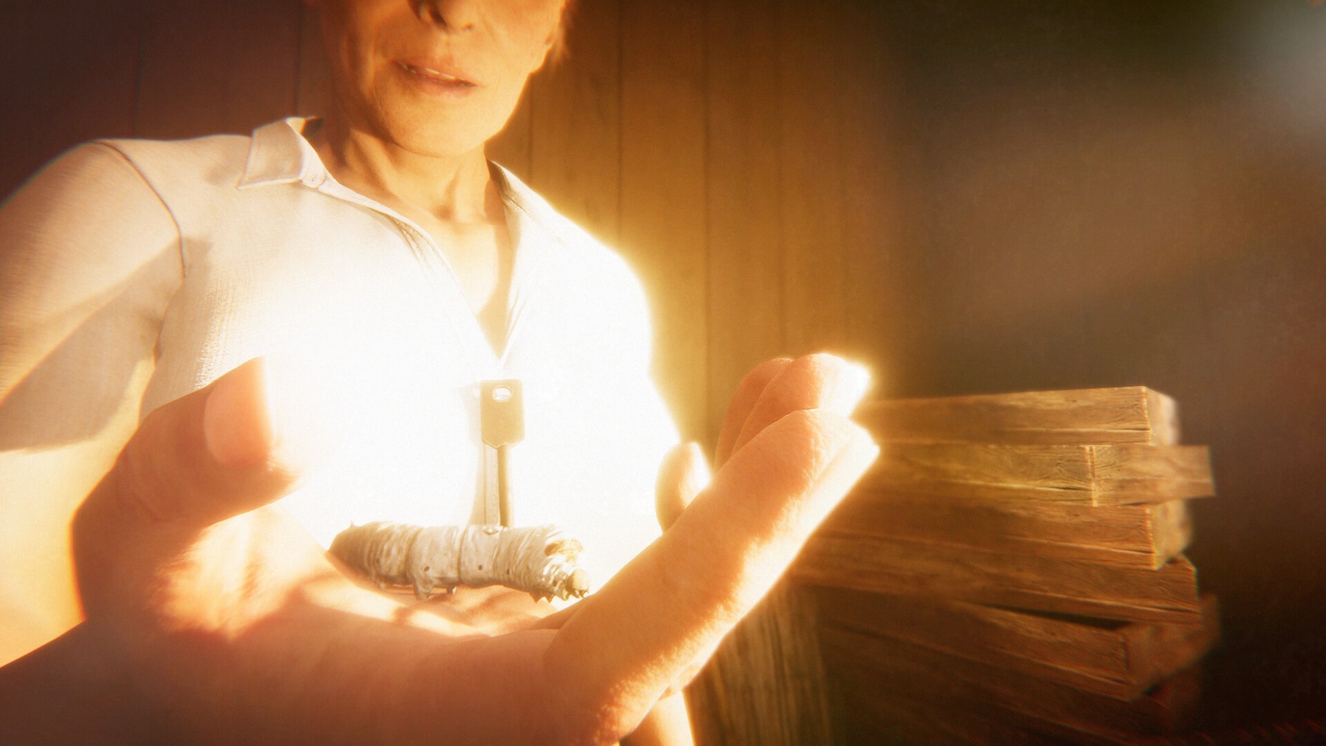 Hollow Cocoon บน Steam