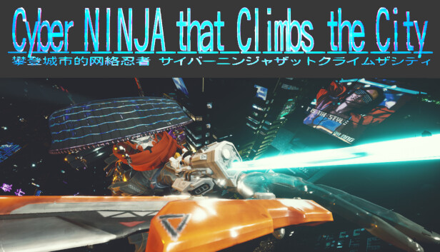 Cyber Ninja