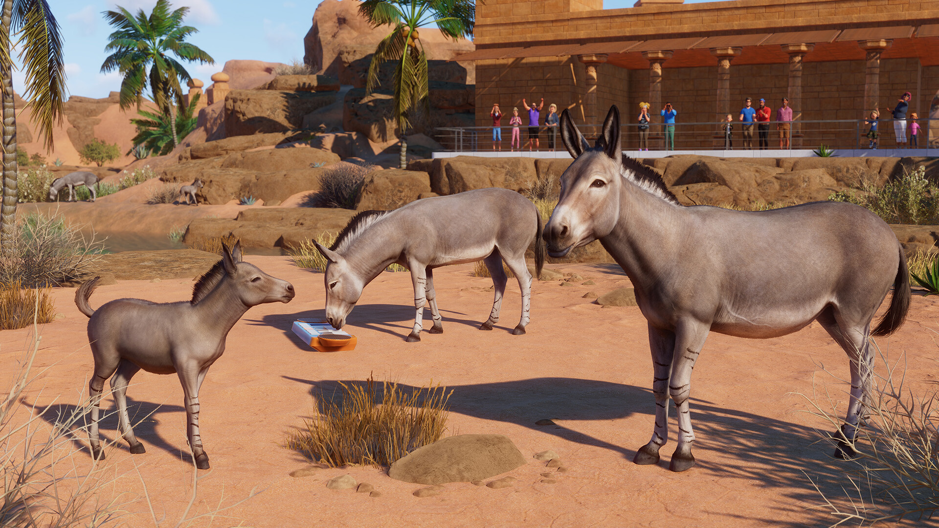 Planet Zoo: Arid Animal Pack on Steam