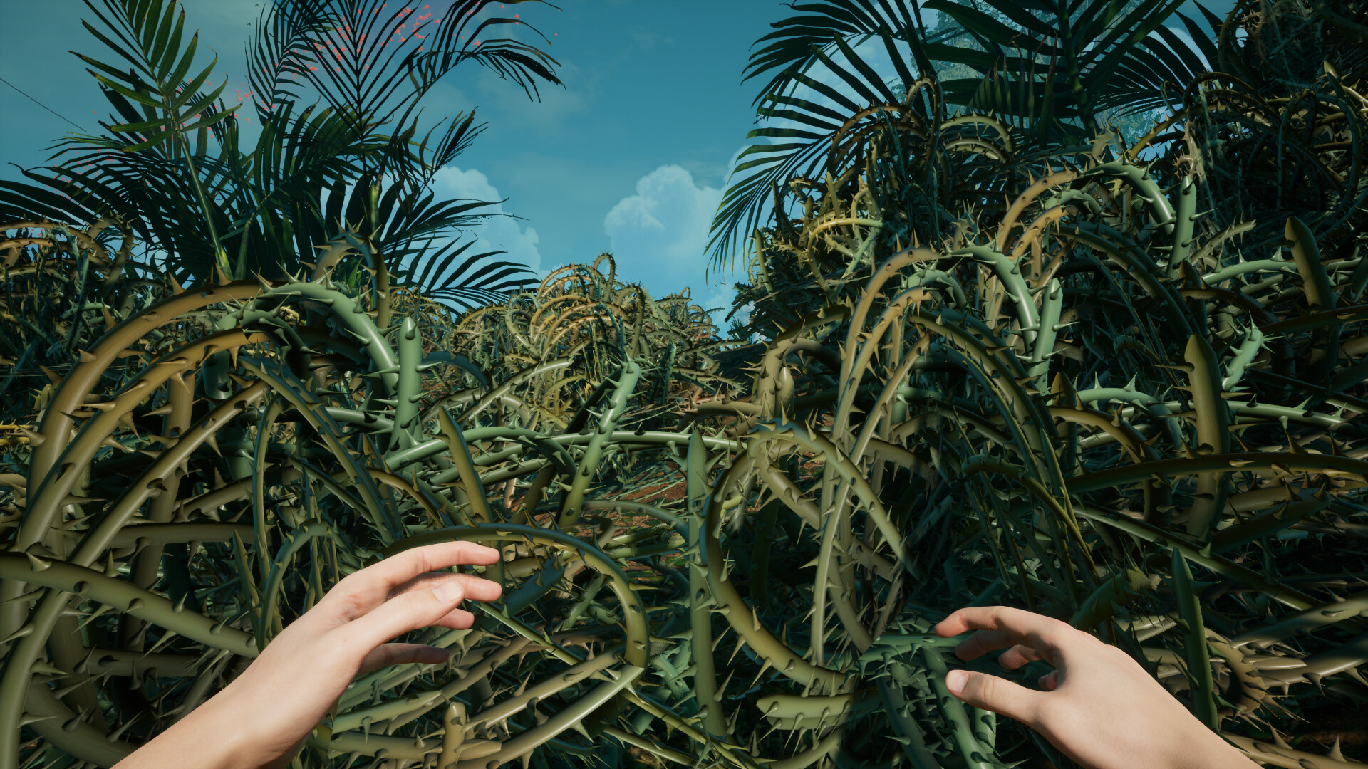 Canopy on Steam