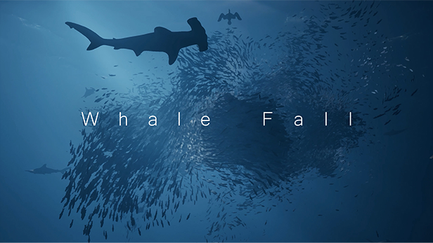 Blue Whale Fall