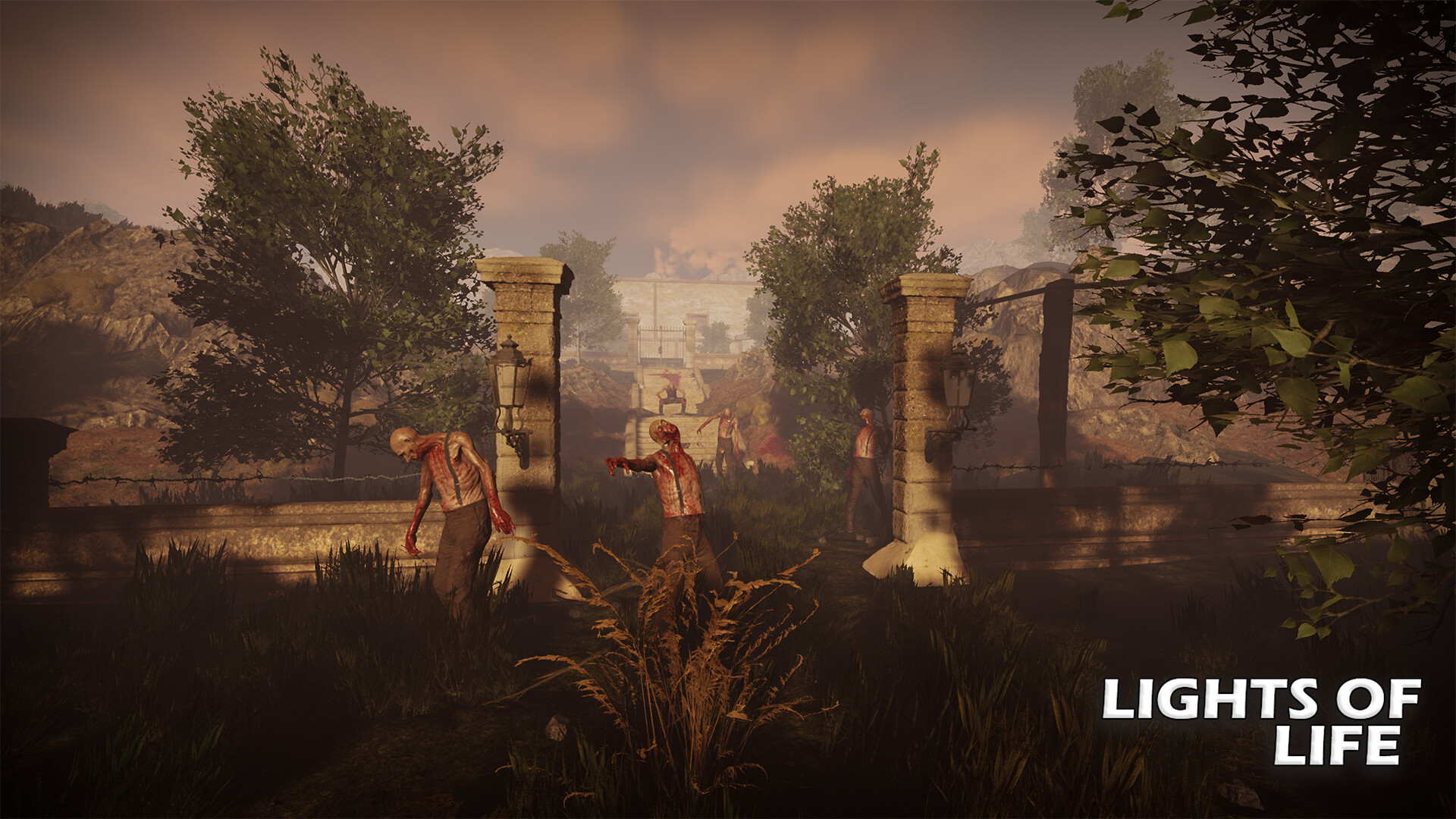 Lights Of Life on Steam