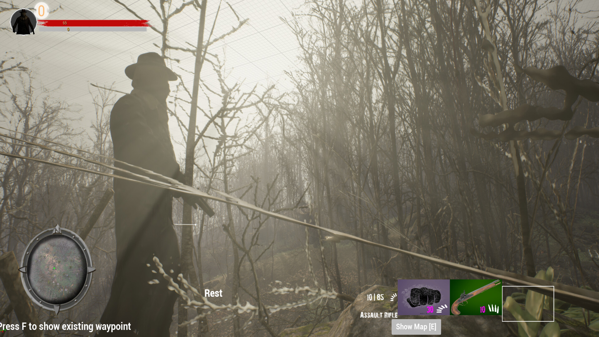 Dear, Virginia on Steam