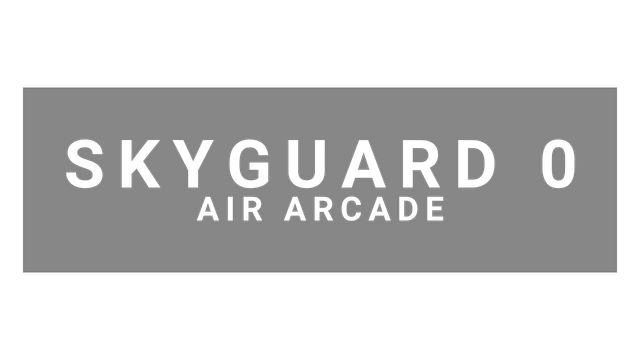 Skyguard 0: Air arcade · SteamDB