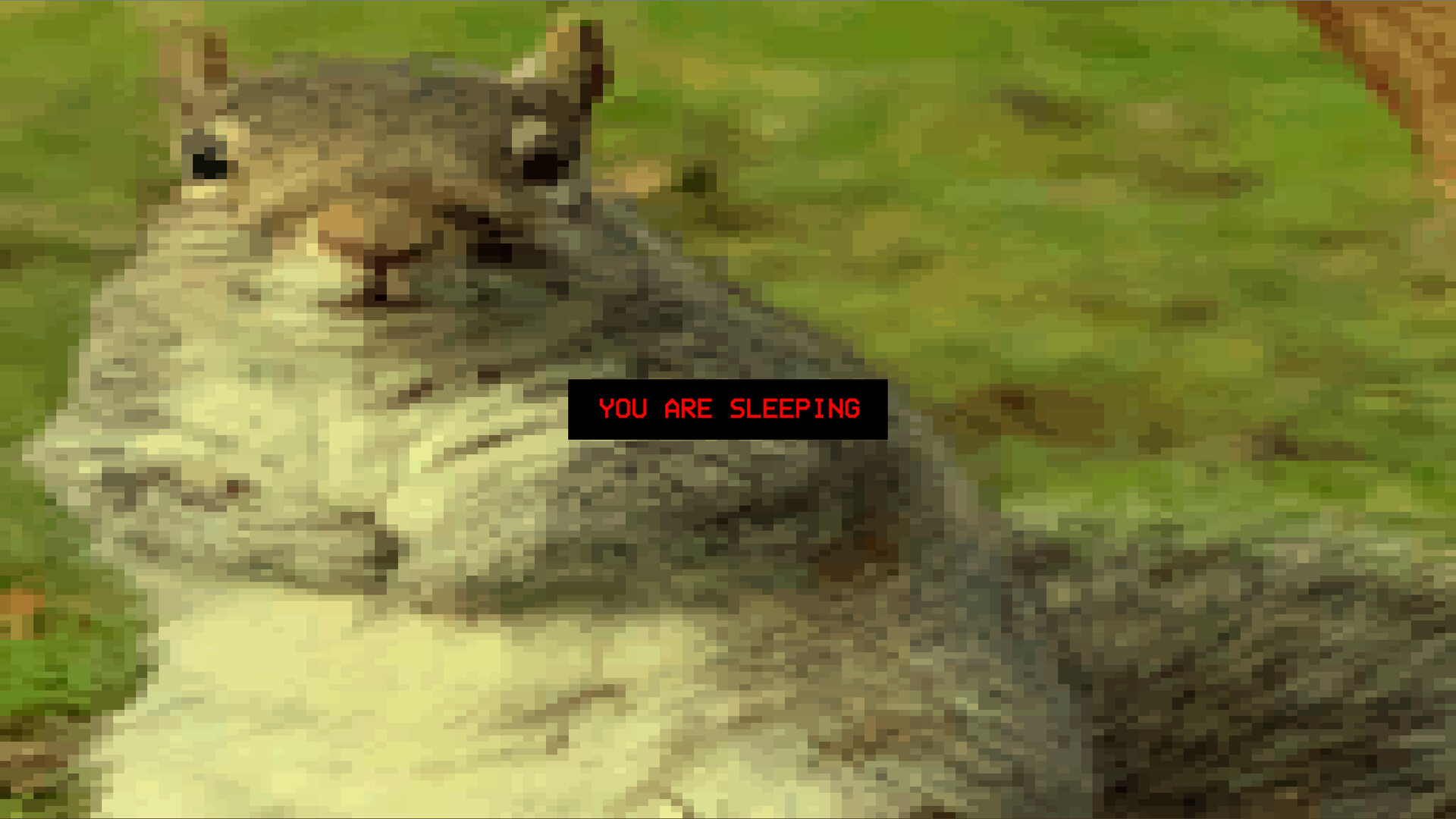 Squirrel Stapler on Steam