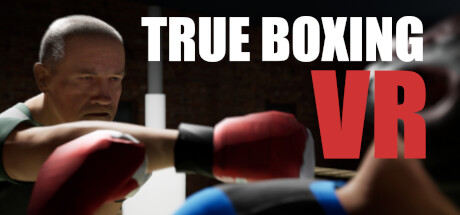 True Boxing VR on Steam