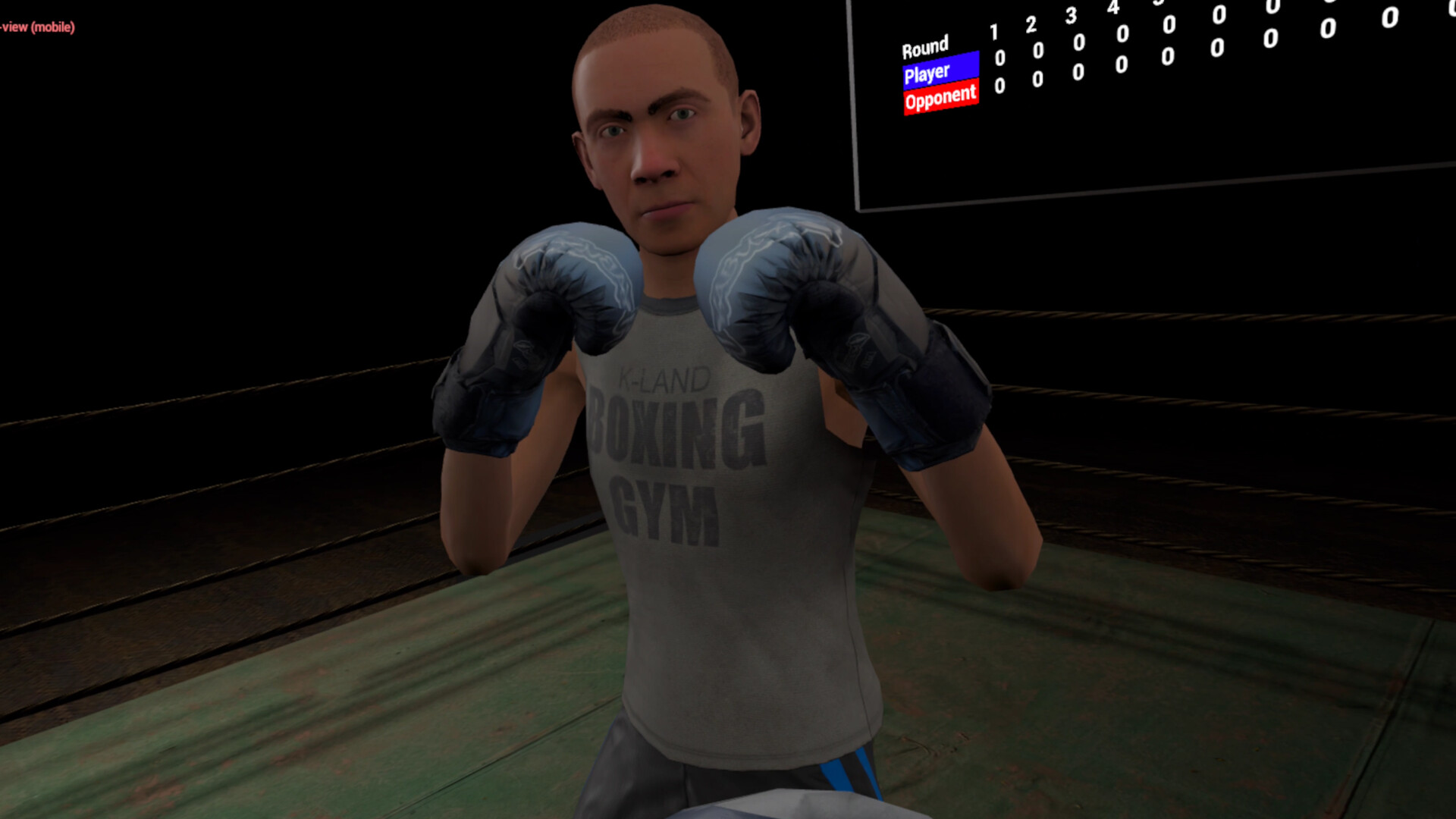 True Boxing VR on Steam
