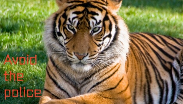 Avoid the police - Steam News Hub