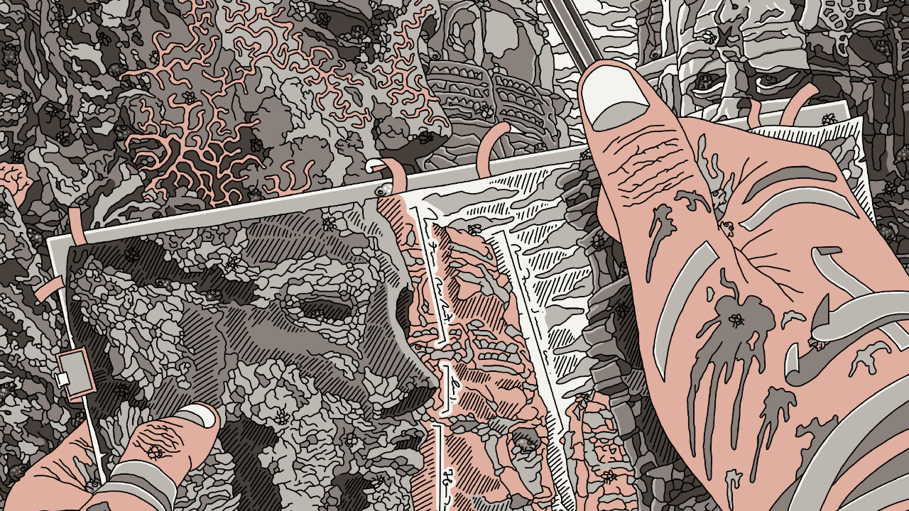 Tôi đã thuê vài bé ếch 2 trên Steam