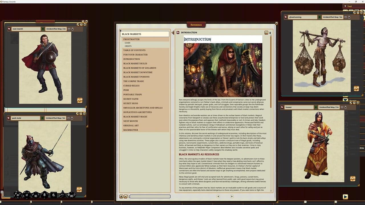 Fantasy Grounds - Pathfinder RPG - Pathfinder Companion: Black Markets ...