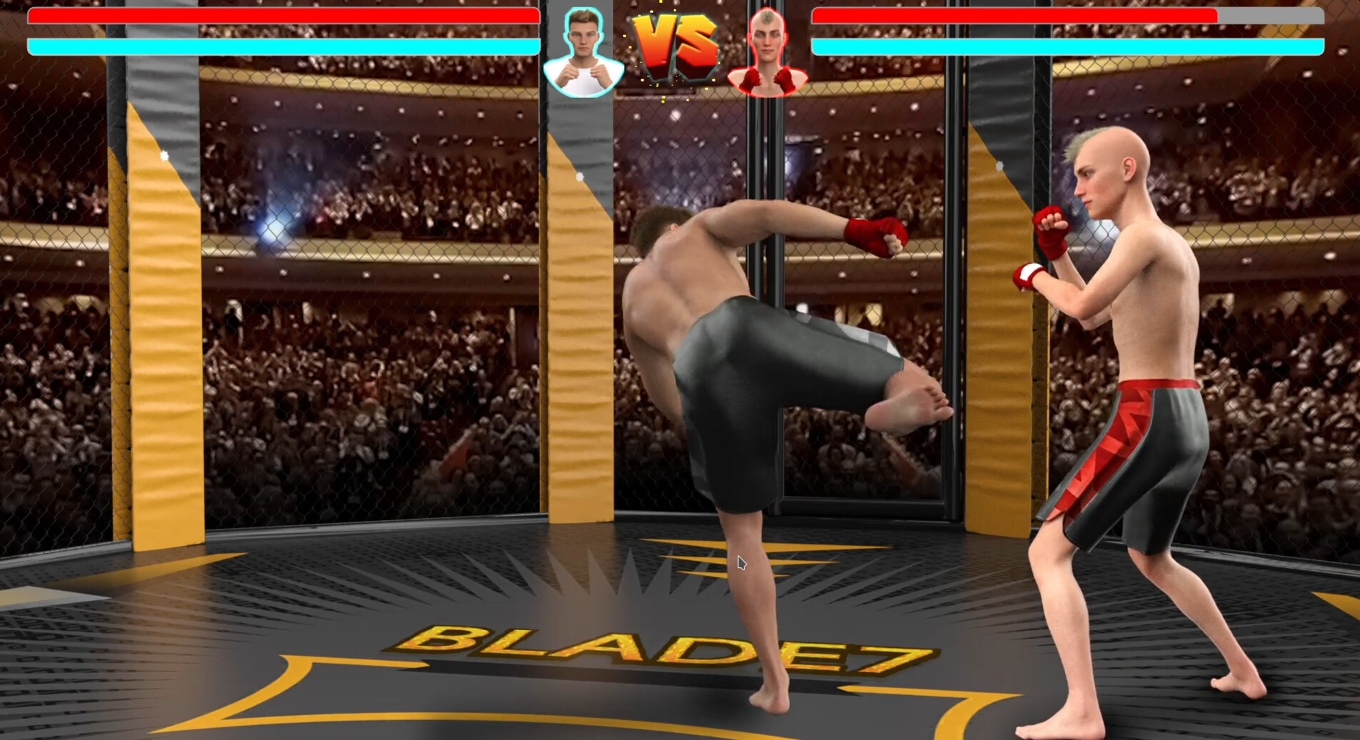 MMA Life simulator on Steam