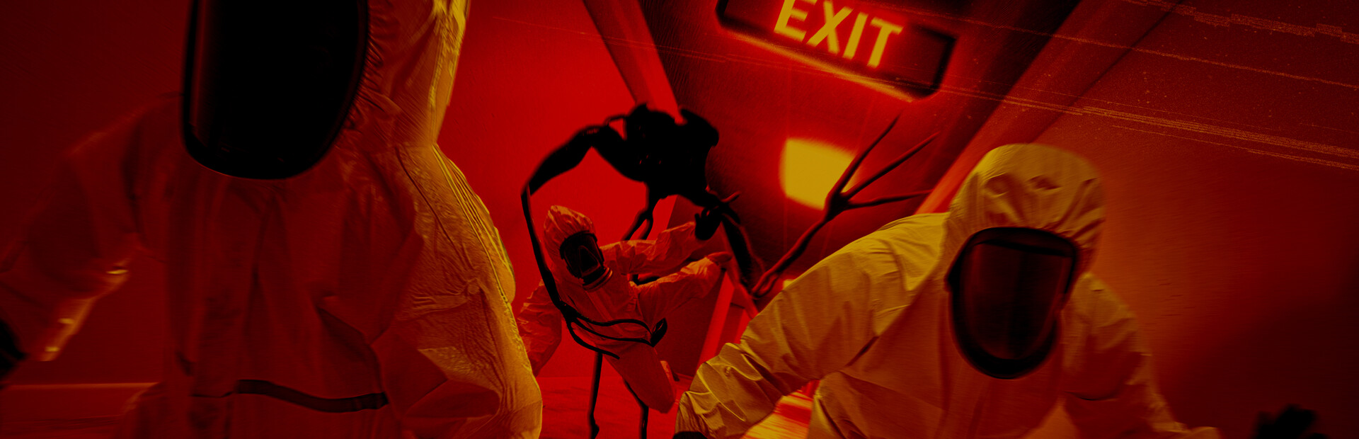 Backrooms Media · SteamDB