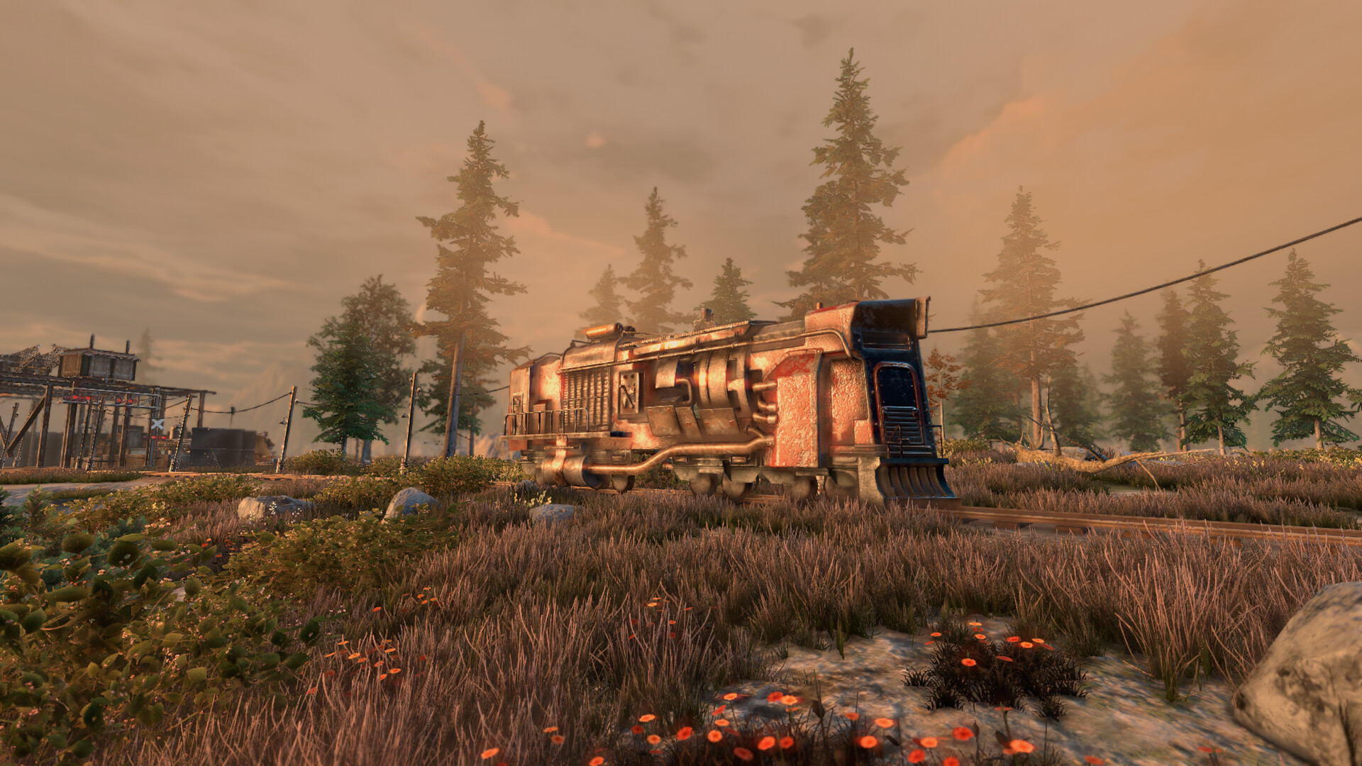 New Cycle - Supporter Pack on Steam