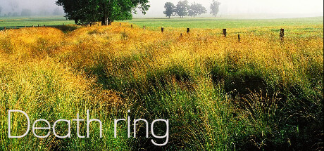 Death ring Steam Charts · SteamDB