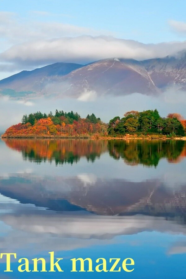 Tank maze Steam Charts · SteamDB