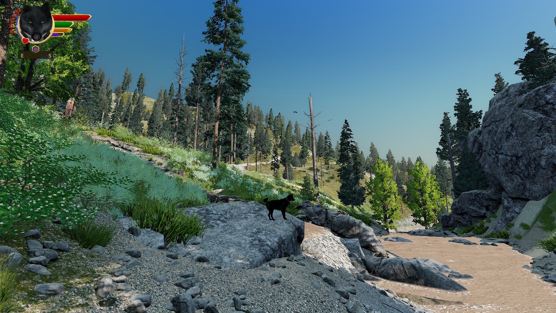 WolfQuest Anniversary - Hellroaring Mountain Screenshots · SteamDB