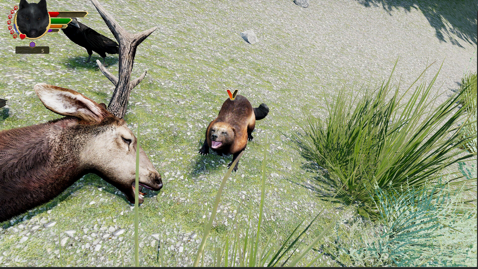 WolfQuest Anniversary - Hellroaring Mountain Screenshots · SteamDB