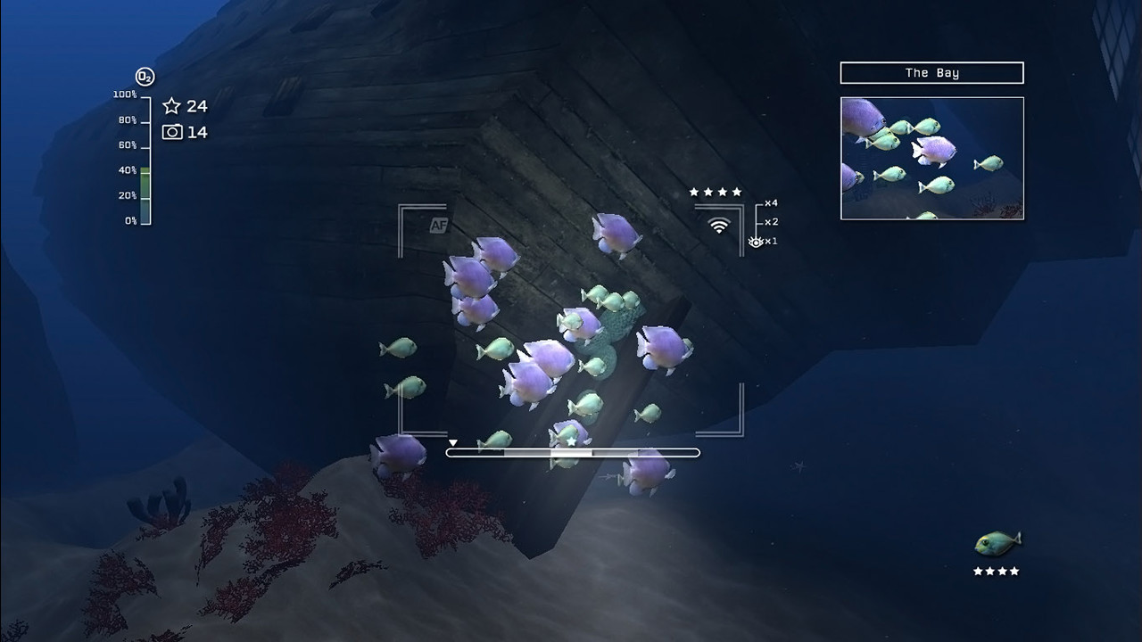 Reef Shot on Steam