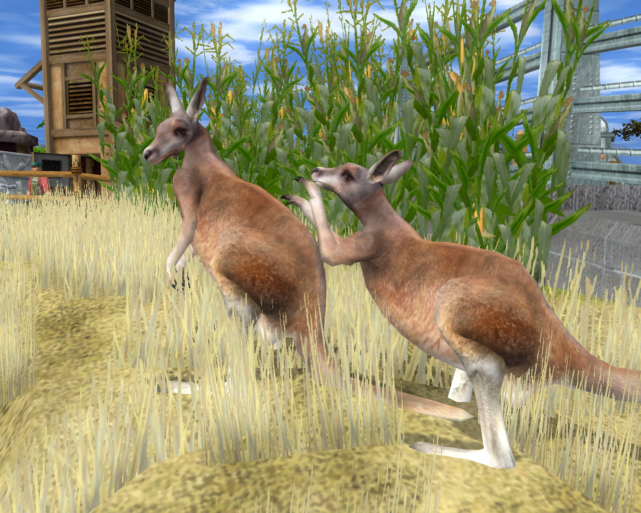 Wildlife Park 2 - Crazy Zoo on Steam