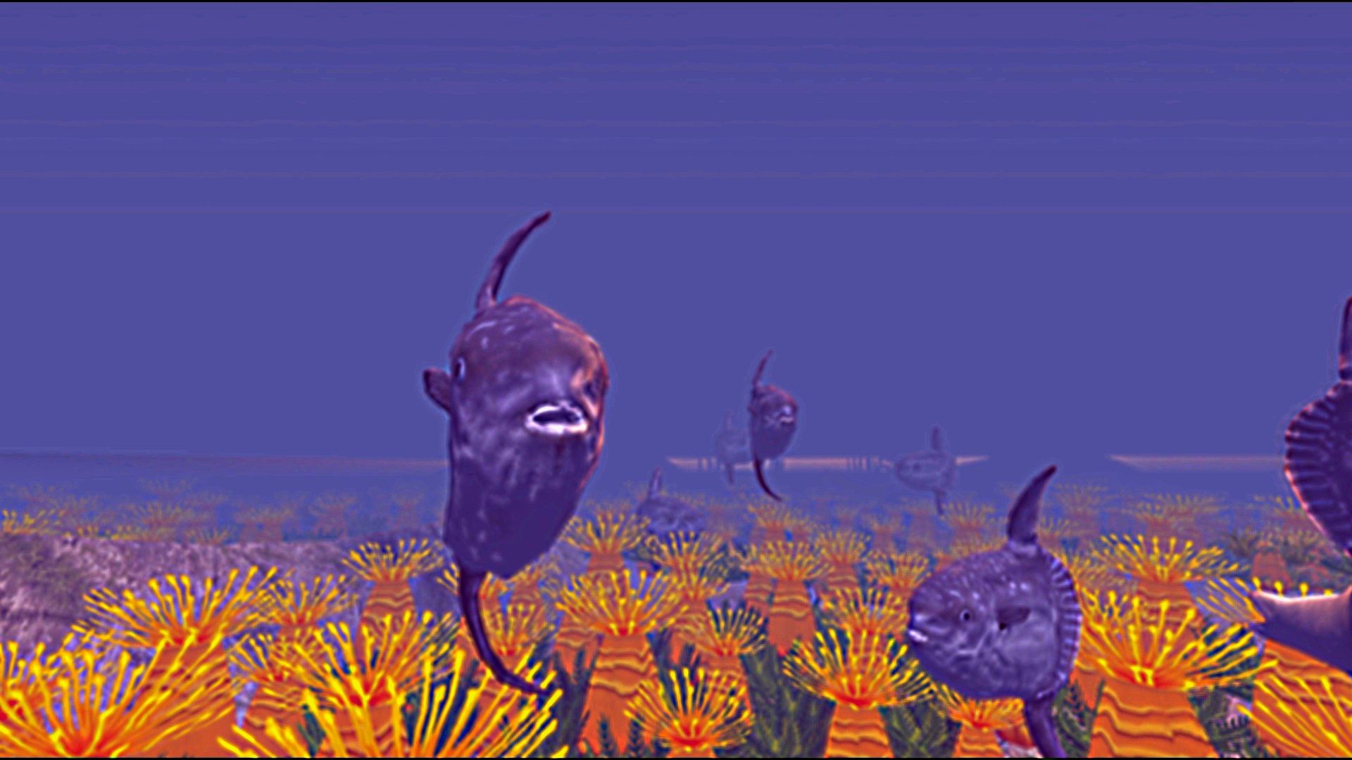 Zen Fish SIM on Steam