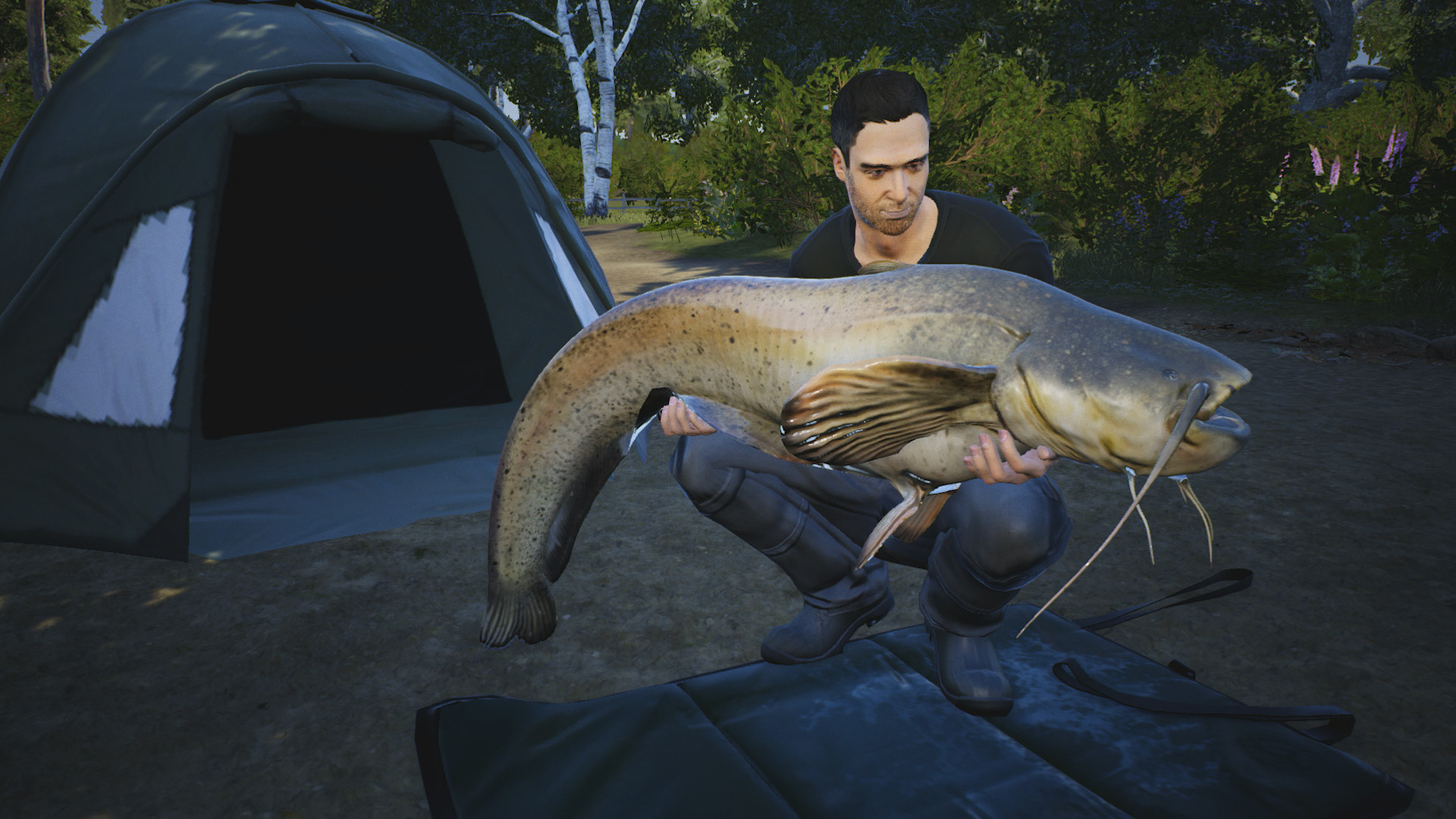 Euro Fishing: Le Lac d'or on Steam