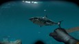 Shark Attack Deathmatch 2 on Steam